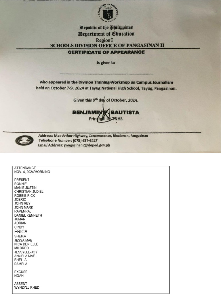 Teacher's Strategies MDM Jess | PDF | Teaching | Pedagogy