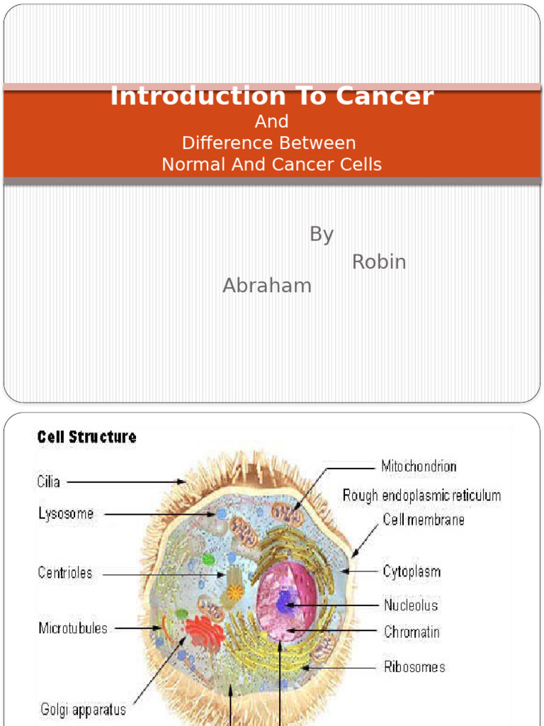 Introduction & Normal and Cancer Cells-3 | PDF | Cell Growth | Cell ...