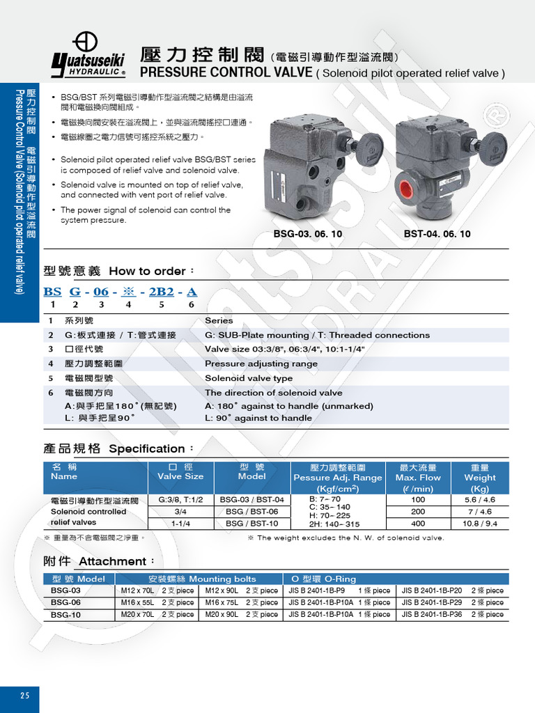 BSG BST | PDF