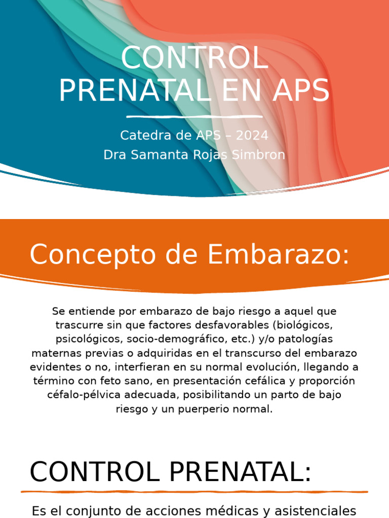 Control Prenatal y Embarazo Saludable | PDF | Parto | El embarazo