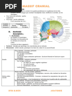 Anatomie et Fractures du Rocher | PDF | Tête et cou chez l'humain ...