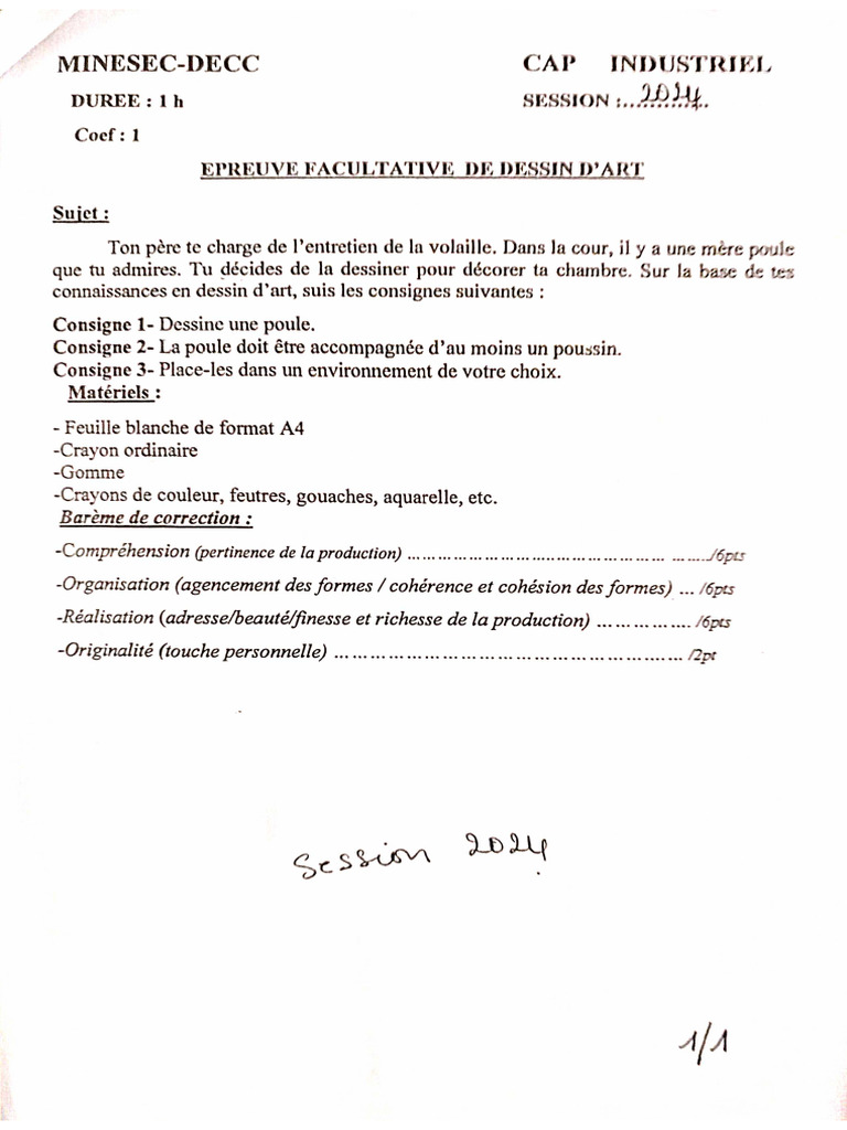 Dessin Fac CAP 2024 | PDF