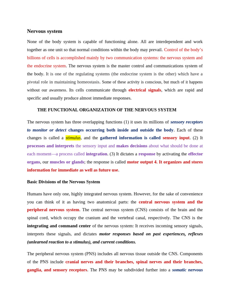 Nervous system | PDF | Axon | Neuron