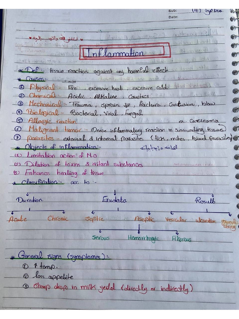 Lec 3 Inflam. Surgery | PDF
