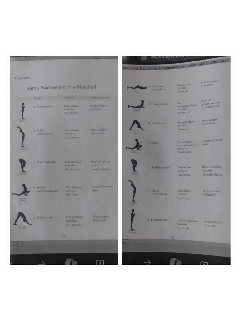 BSY Final To-Practise | PDF