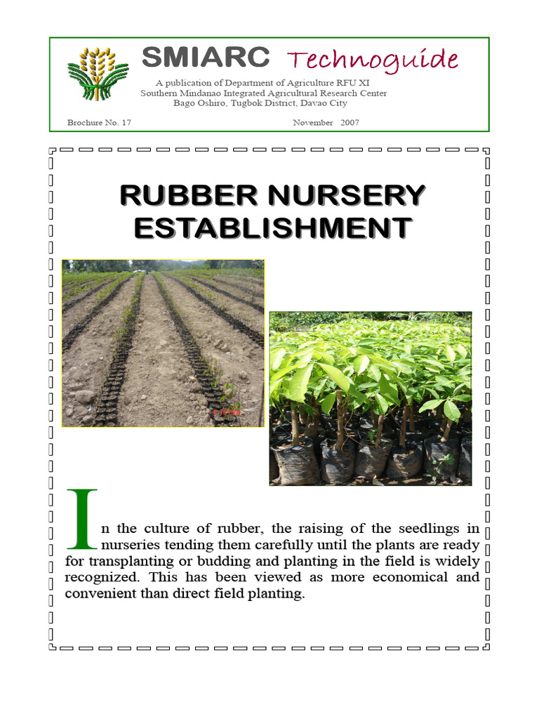 Rubber Nursery Guide | PDF | Grafting | Plant Nursery