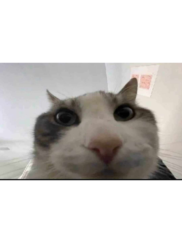 received_1561599431396659 (1) | PDF