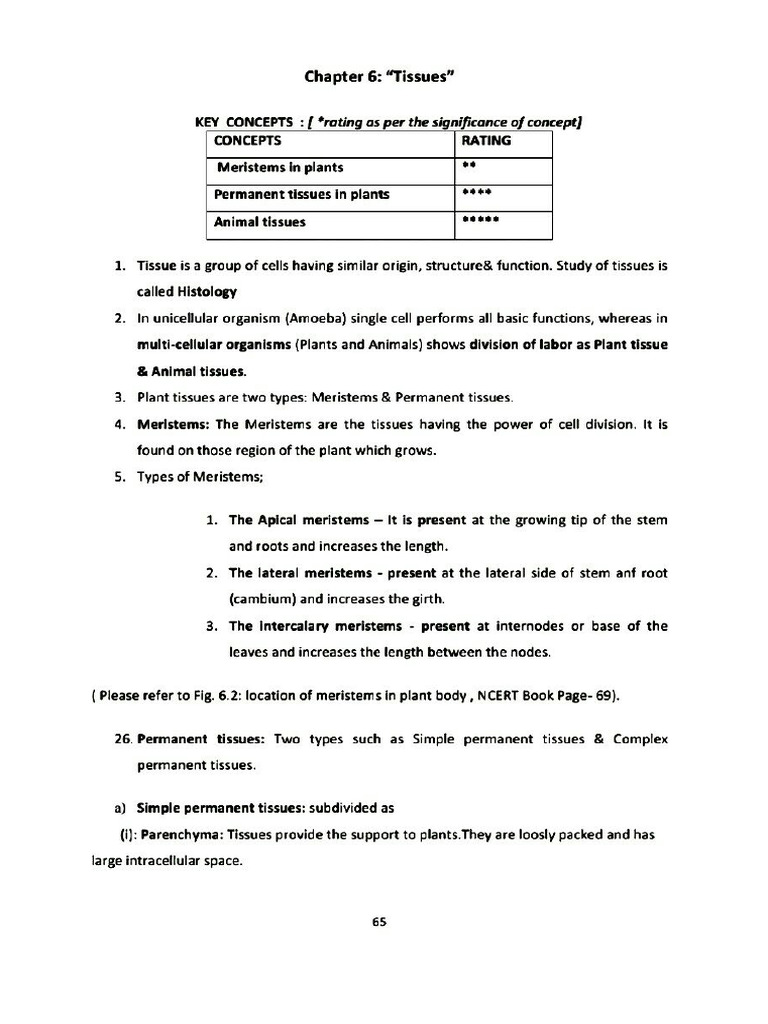 Tissue Class 9 Notes Pdf