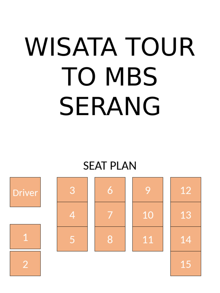 Seat MBS | PDF
