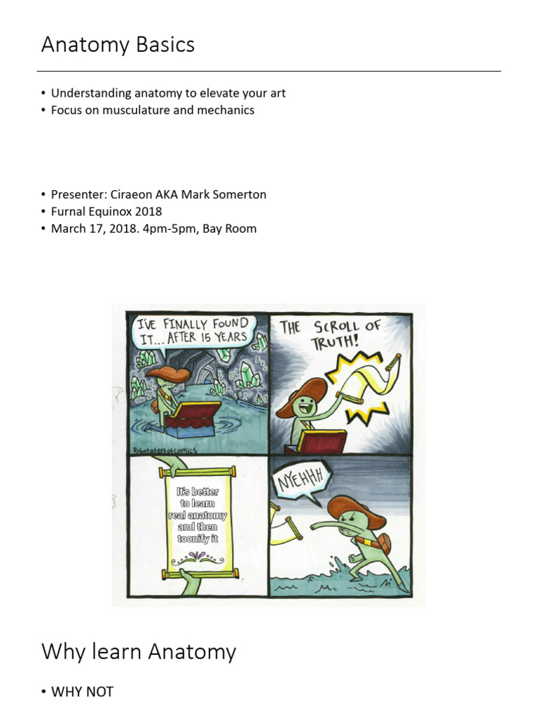 Ciraeon Anatomy Basics For Furries 2018 | PDF | Foot | Lower Limb Anatomy