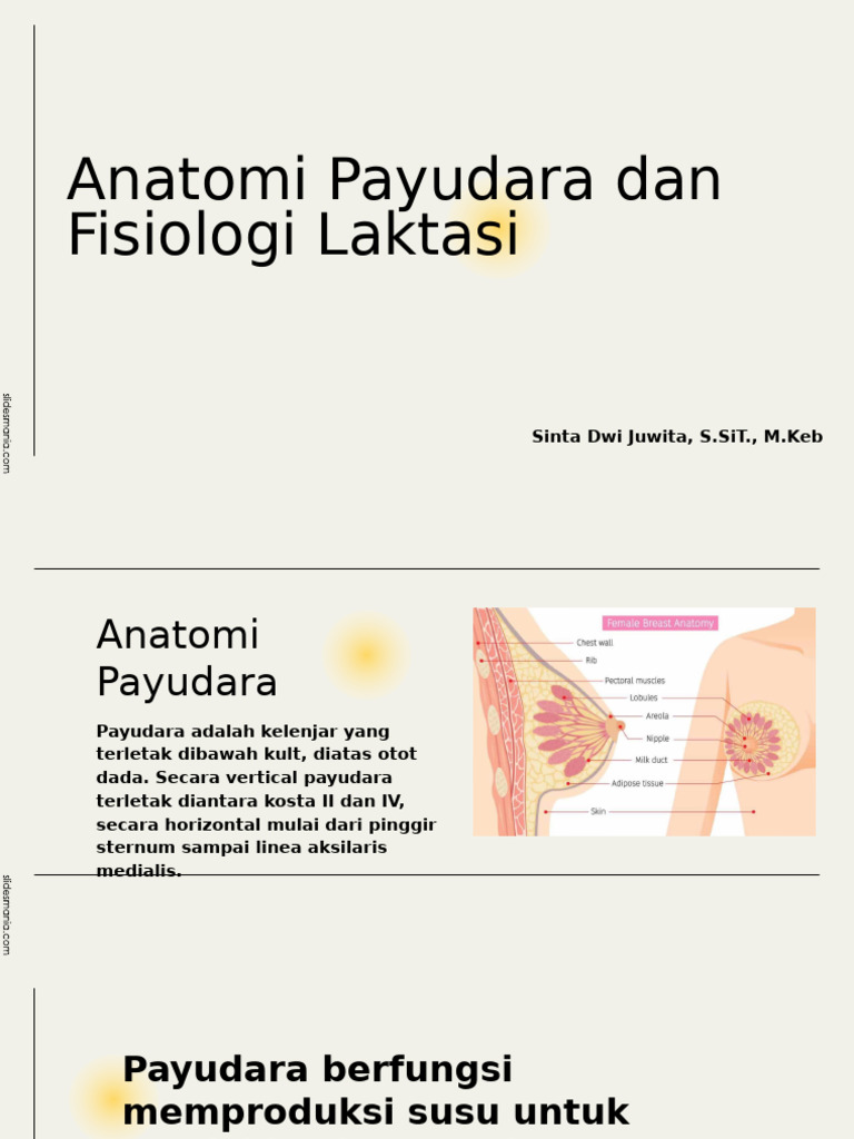 Anatomi Payudara Dan Manajeman Laktasi | PDF