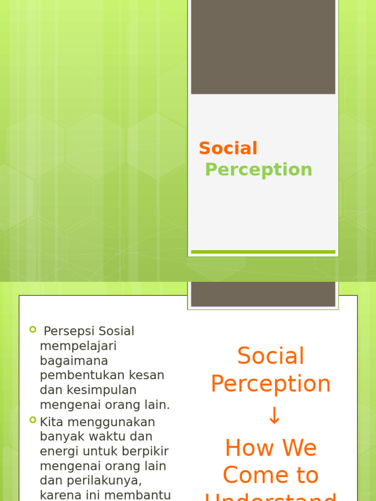 Social Perception | PDF | Pengembangan Diri | Sains & Matematika