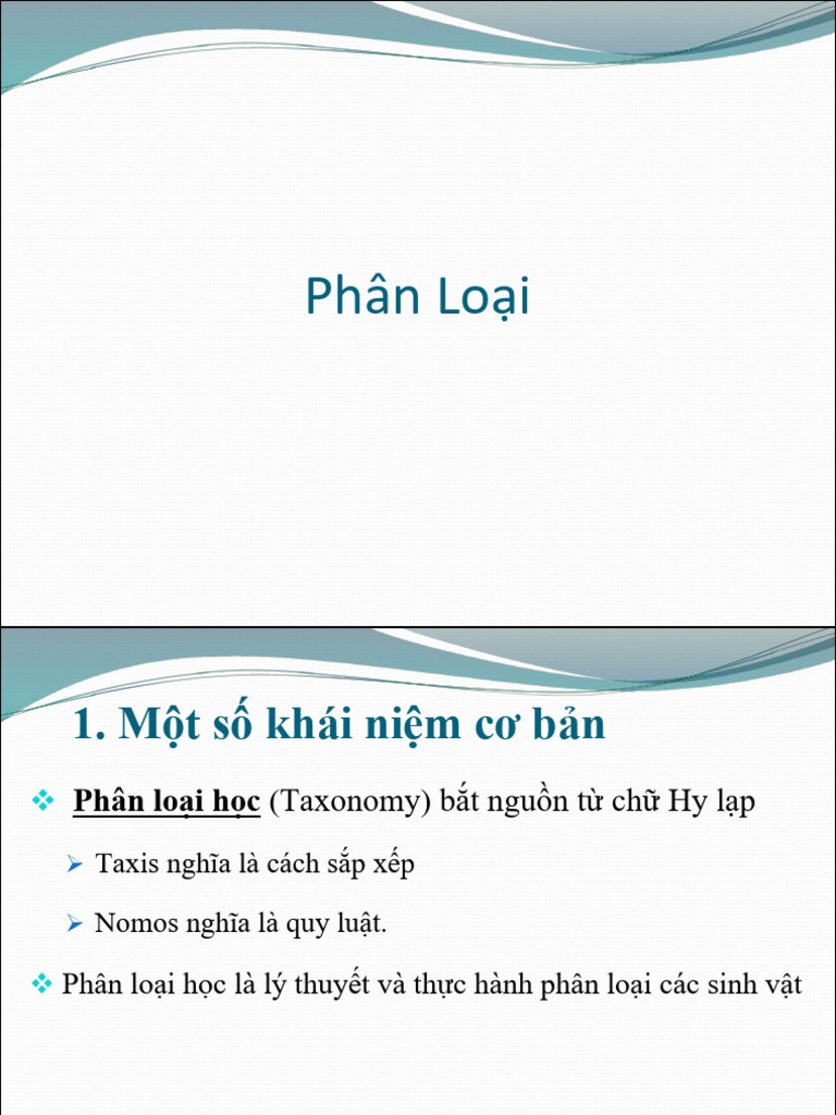 Phan Loai 1 | PDF