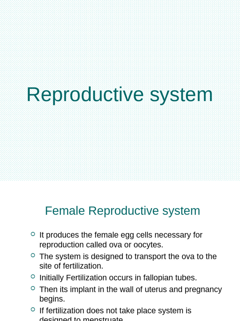 Lect 21 Reproductive System 1 (Autosaved) | PDF | Menstrual Cycle | Uterus