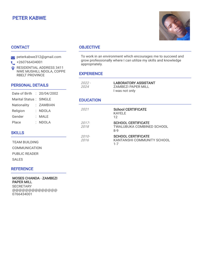 Peter CV | PDF | Career & Growth