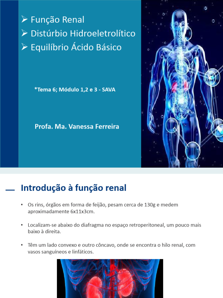 Aula_7_Fun__o_Renal | PDF | Rim | Creatinina