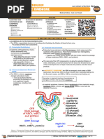 Nephrology Mnemonics Guide | PDF | Kidney Disease | Kidney