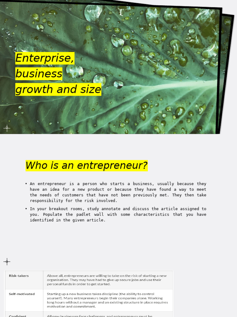 Understanding Entrepreneurship and Business Growth | PDF | Mergers And ...