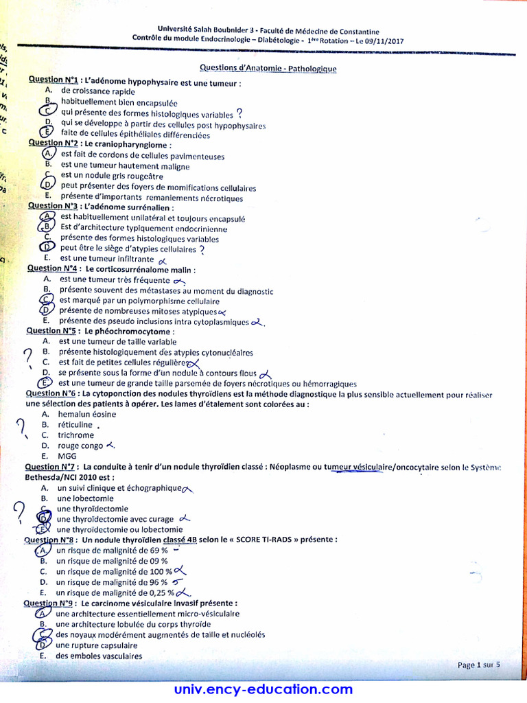 Med 5an Rot1 Endocrino2018 | PDF | Computers | Technology & Engineering