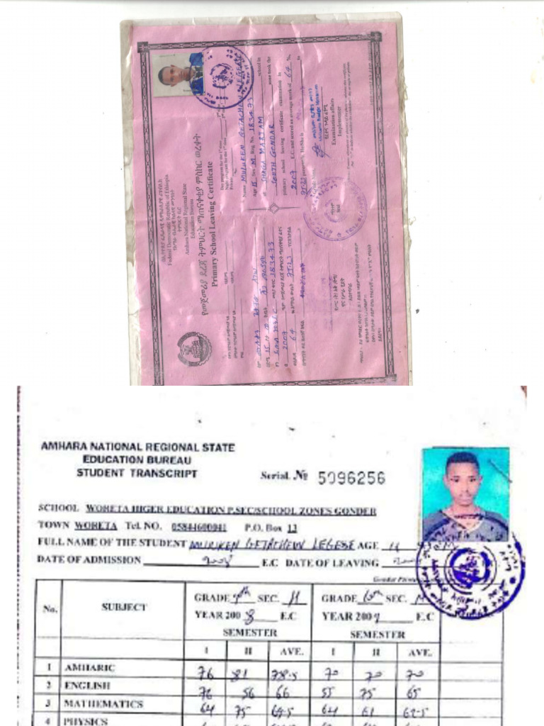 All My Credential | PDF