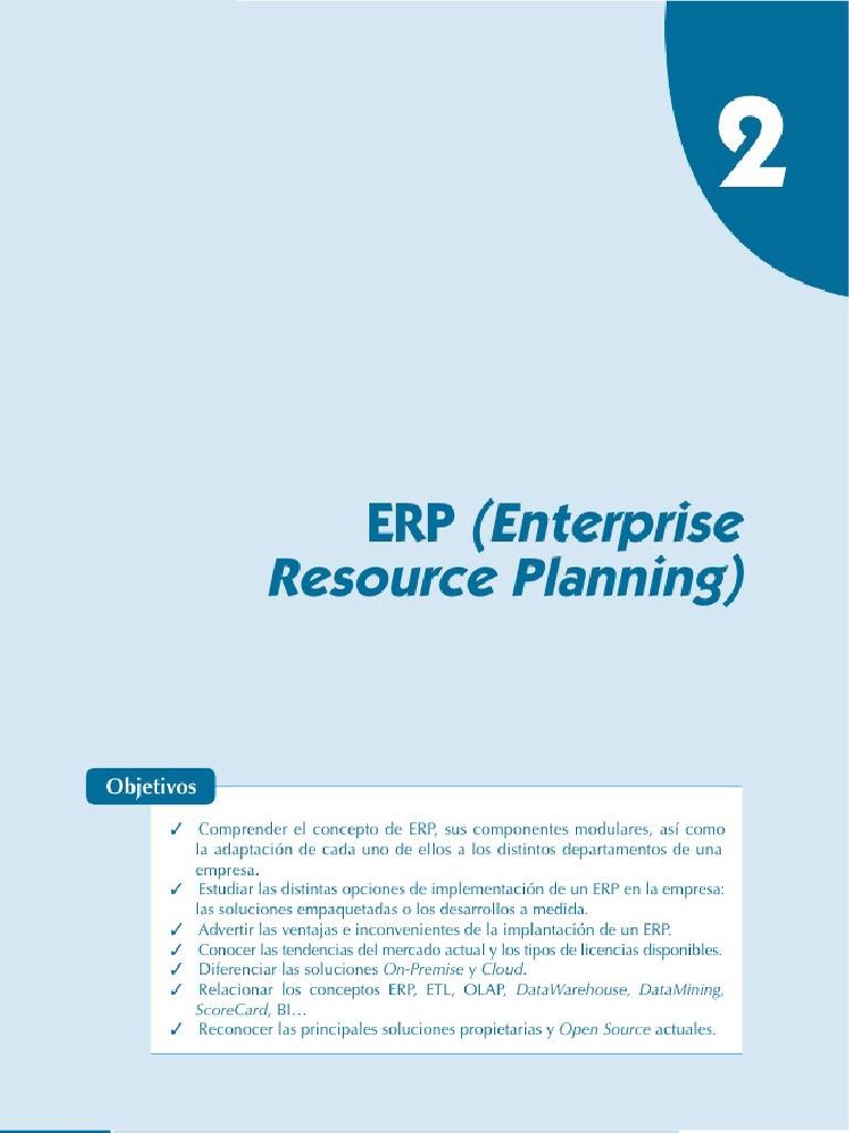 Cap02 ERP | PDF