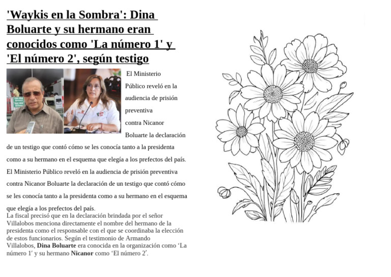 Waykis en La Sombra | PDF