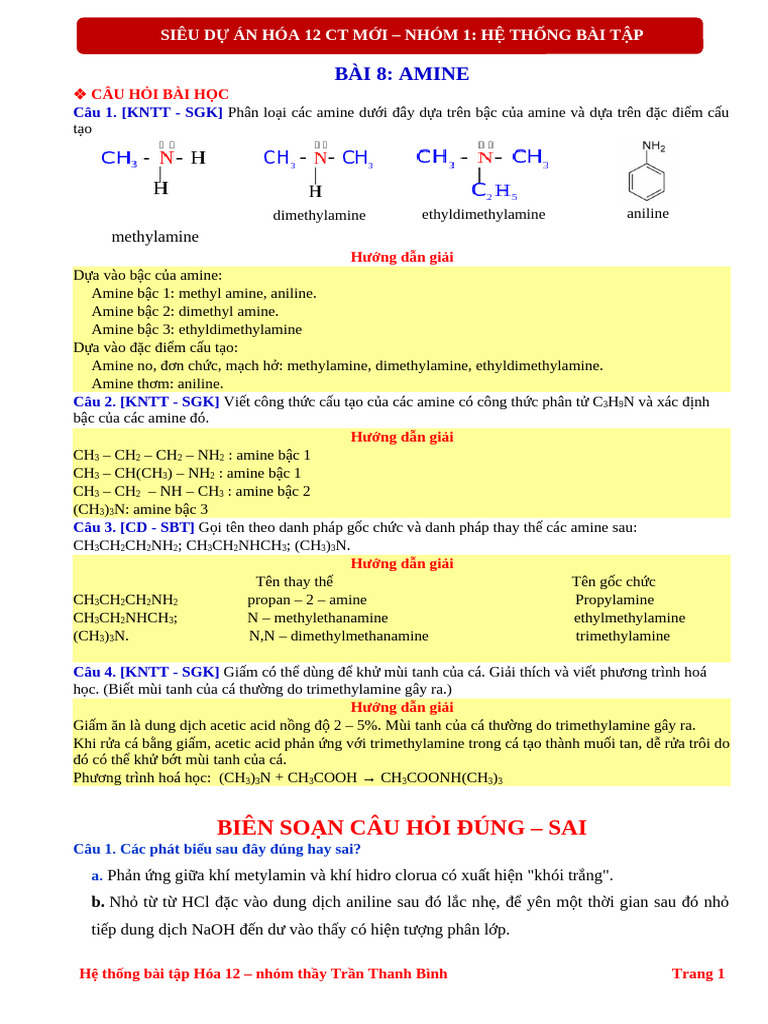 KNTT - Bai 8 - Amine - Hoa Trinh | PDF