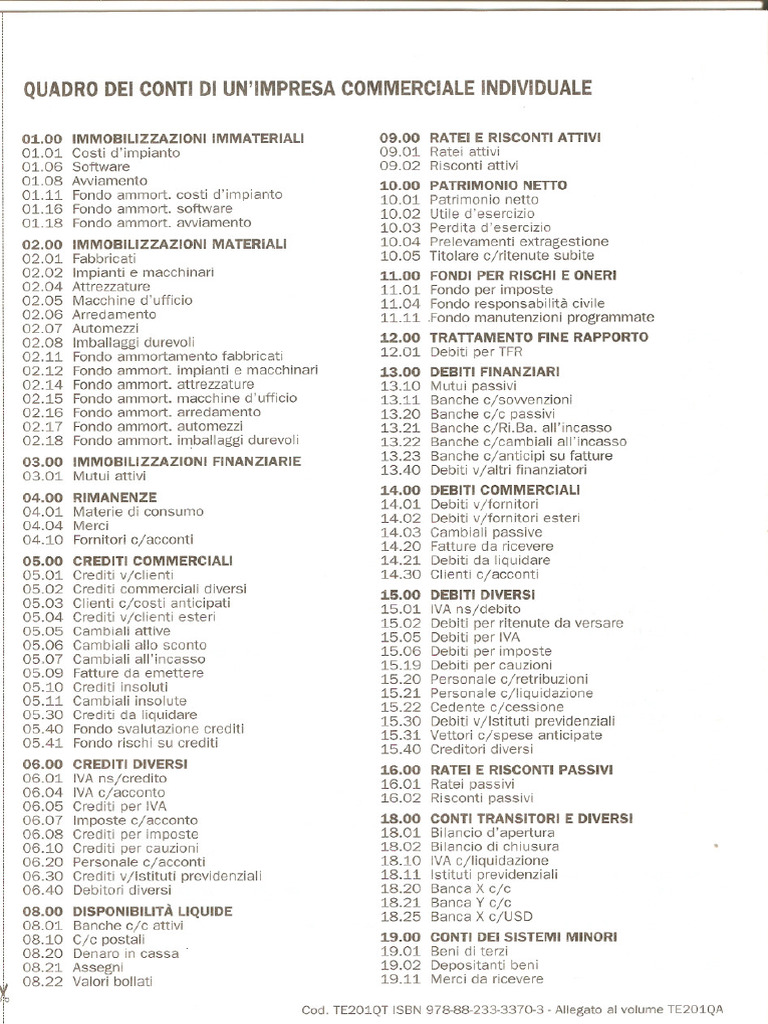 Piano Dei Conti | PDF