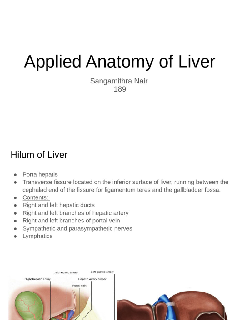 Applied Anatomy of Liver | PDF | Science & Mathematics