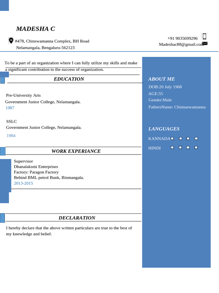 Madesha C: Profile and Experience | PDF