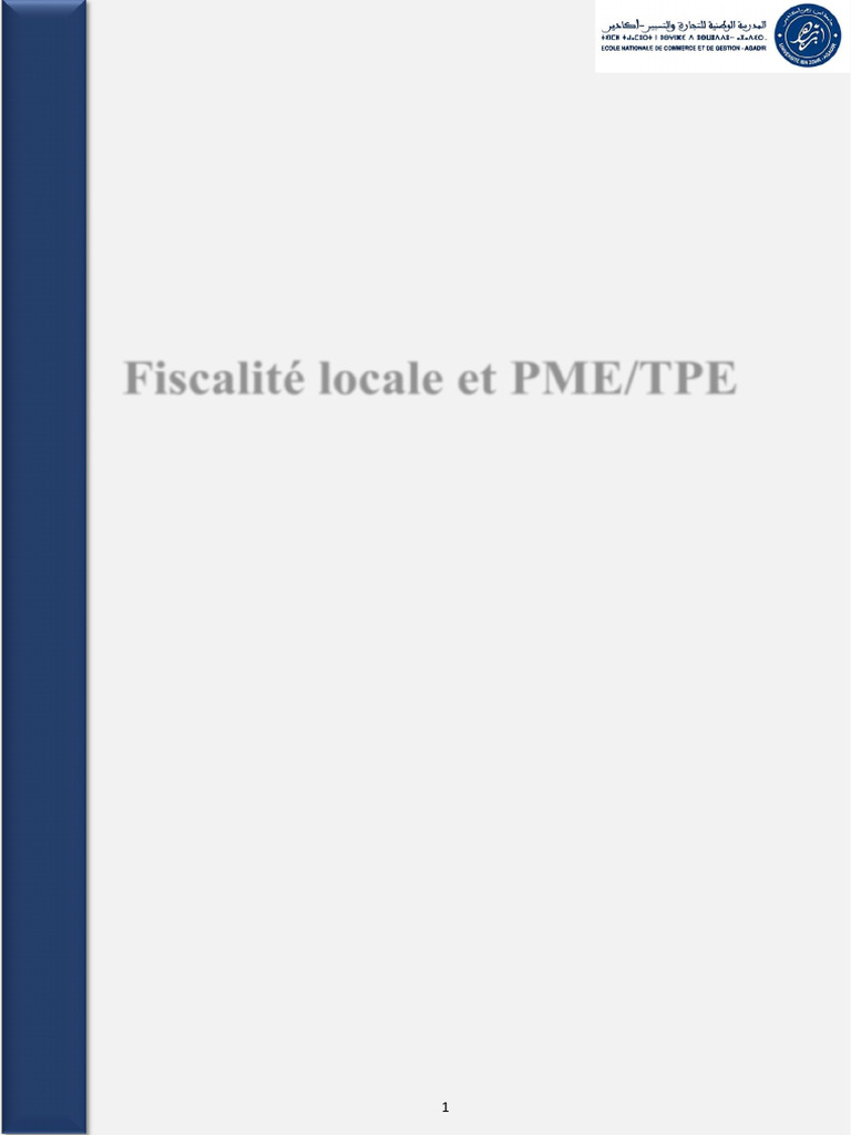 Fiscalité locale et PME/TPE au Maroc | PDF | Impôts | Taxe sur la ...