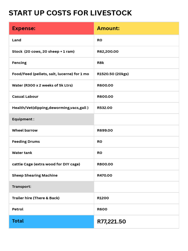 Start Up Expenses | PDF