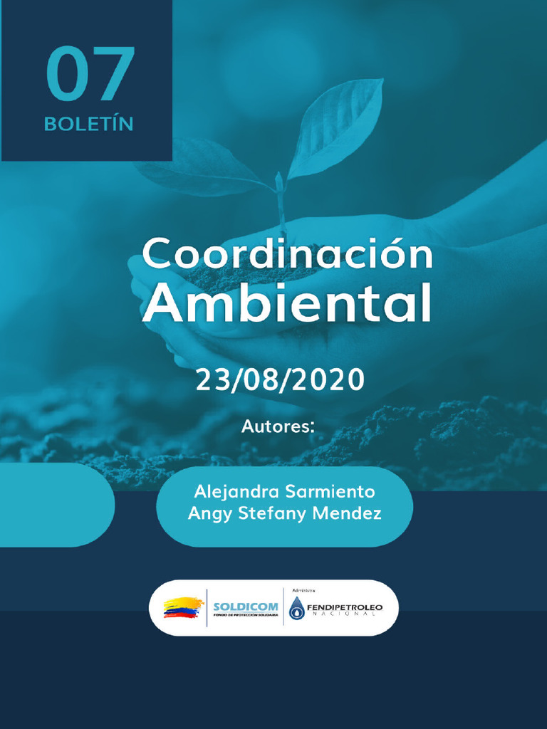 Rev. Com Boletín 7 Ambiental | PDF | Contaminación | Petróleo