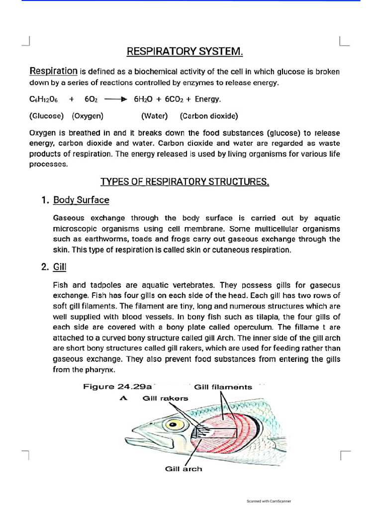 8820 - SS2 (1ST Rerm 5) | PDF