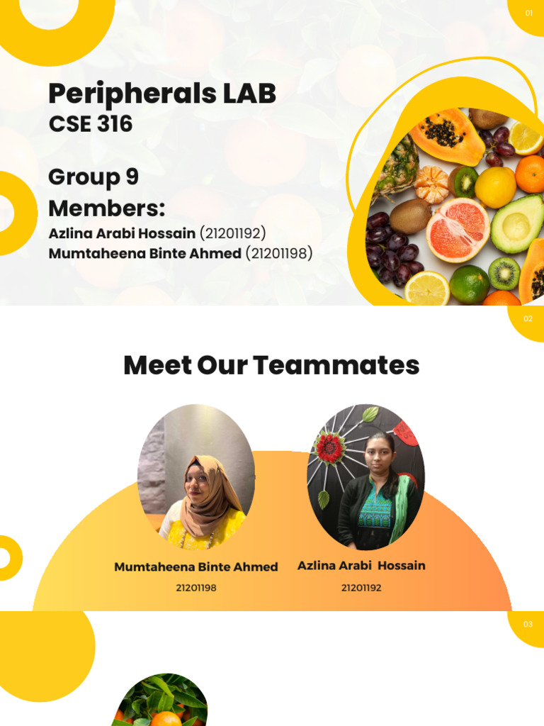 Peripherals LAB Project Overview | PDF | Business | Technology & Engineering