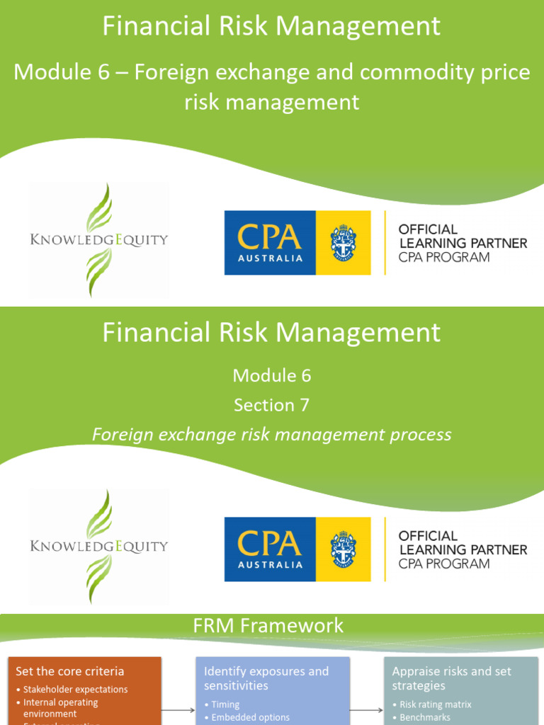 FRM 2022 S1 Module 6 Candidate Slides Webinar 3 | PDF | Financial Risk ...