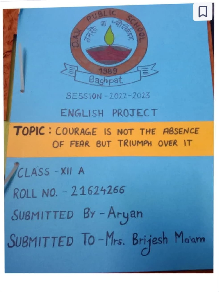 Class 12 Project Work | PDF