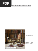 Descubrimiento de la célula por Hooke | PDF