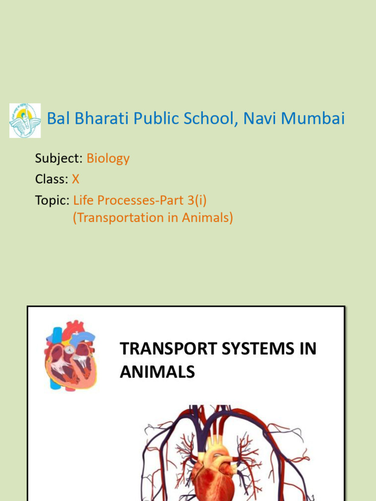 Transportation in Animals: Circulatory System | PDF | Atrium (Heart ...