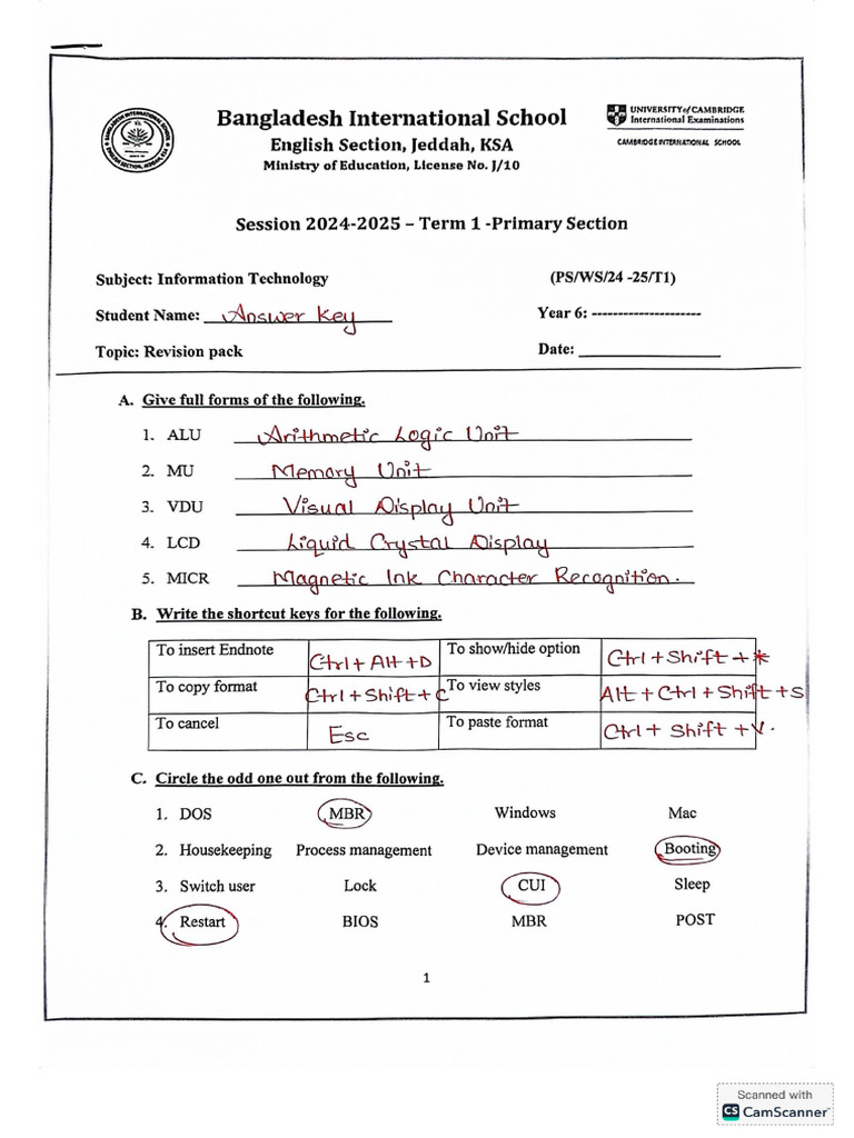 Y6 IT Revision Pack - Answer Key | PDF