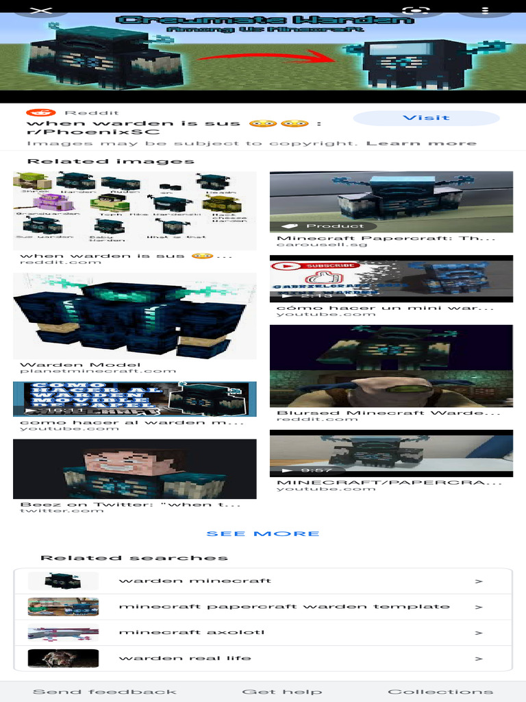 Sus Warden - Google Search | PDF