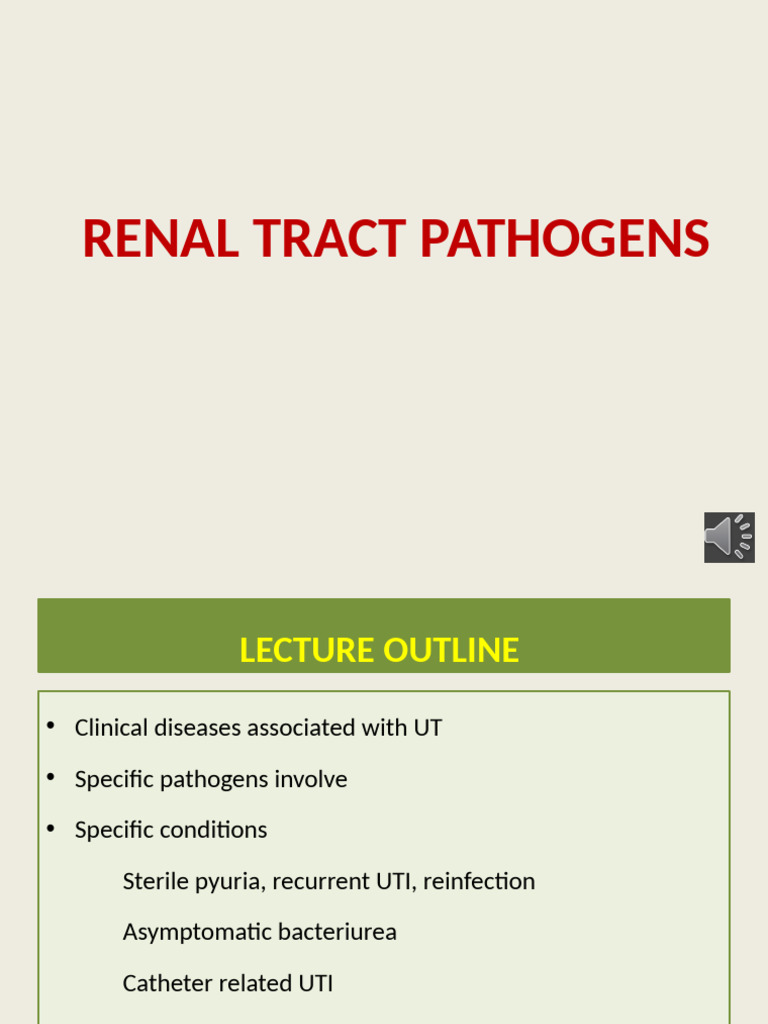 1 - Renal Tract Pathogens | PDF | Urinary Tract Infection | Infection