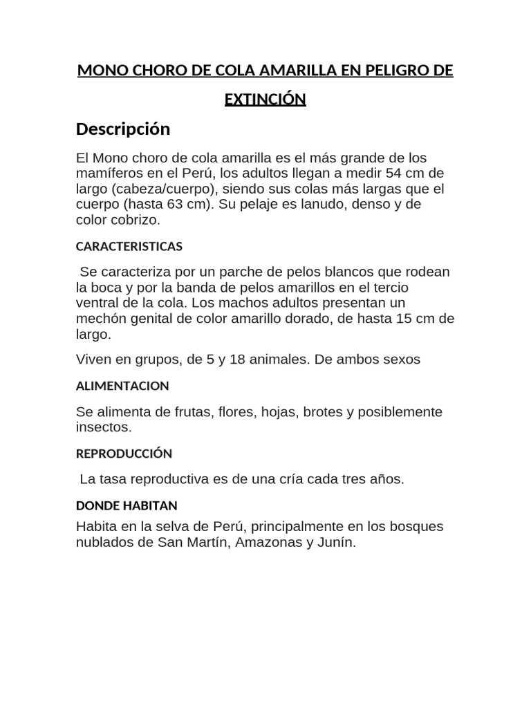 Mono Choro de Cola Amarilla en Peligro de | PDF