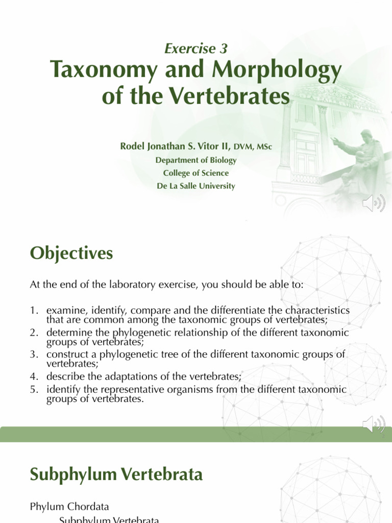 Taxonomy and Morphology of The Vertebrates: Exercise 3 | PDF ...