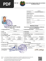 Business License | PDF