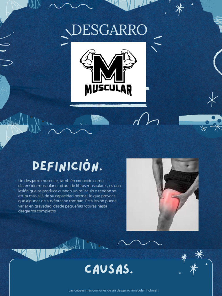 Desgarro muscular en la espalda baja | PDF | Flexibilidad (anatomía ...