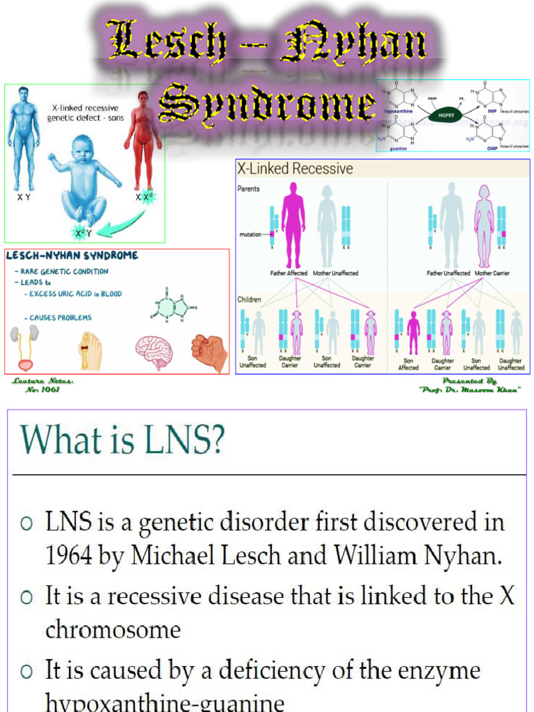 Lesch-Nyhan Syndrome (LNS) | PDF