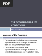 Anesthesia ITE Study Notes | PDF | Blood Type | Exhalation