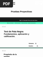 Ficha Técnica Del Test de La Pata Negra | PDF | Sicología | Conceptos ...