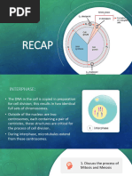 Mnemonics For Cycle Cell and Division | PDF